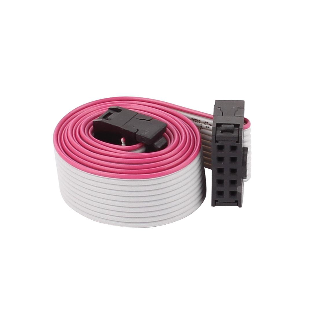 10 Pin (10 Wire) Female to Female Connector Flat Ribbon Cable (FRC ...